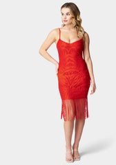 Fringe Hem Lace Dress | bebe