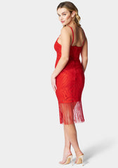 Fringe Hem Lace Dress | bebe